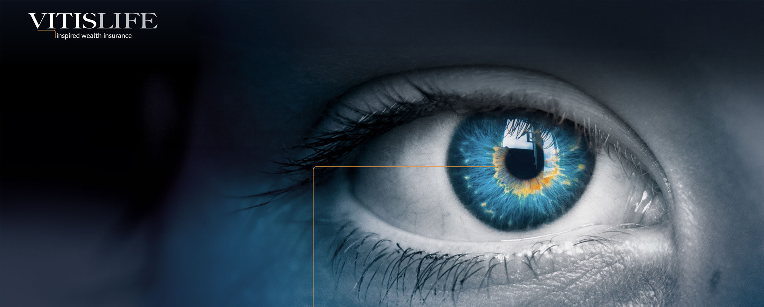 Vitis Life : Etat de situation depuis la la promulgation de la LFI 2024